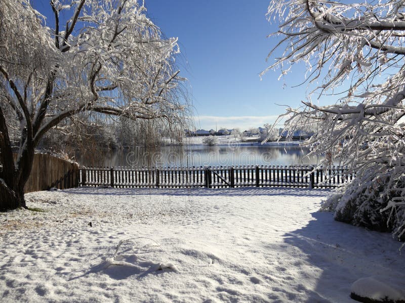 Scenic View by the Pond, with the Ground Covered with Fresh Snow Stock ...