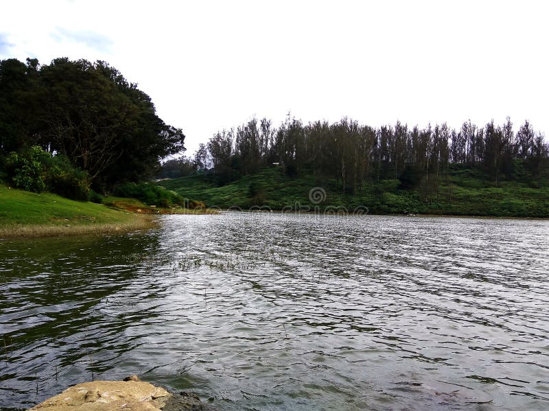 Scenic river view stock image. Image of hobby, tree - 194590517