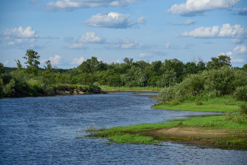 A Wide Shallow River Flows in a Field with Trees Stock Photo - Image of ...