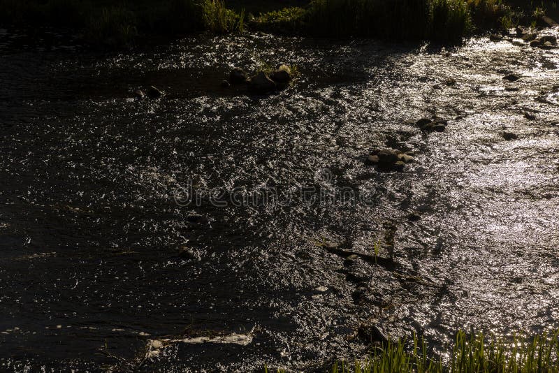 A Wide but Shallow River with a Large Current Stock Photo - Image of ...