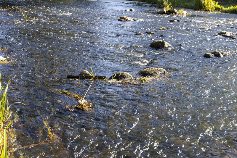 Wide Shallow River Large Current Stock Photos - Free & Royalty-Free ...