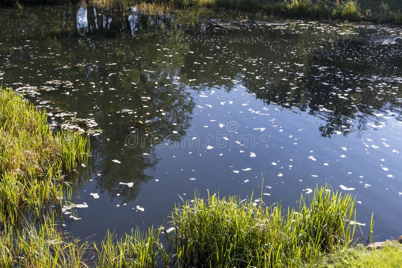 A Wide but Shallow River with a Large Current Stock Image - Image of ...