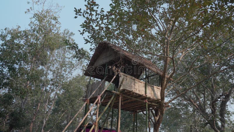 Awide Shot of a Bamboo Tree House in Assam Stock Video - Video of ...