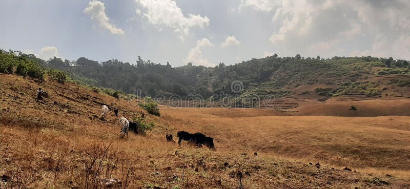 Wide Shot of a Beautiful Scenery and the Road Stock Image - Image of ...