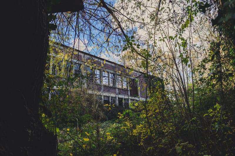 Wide Shot of a Brick Building Surrounded by Trees and Green Plants ...