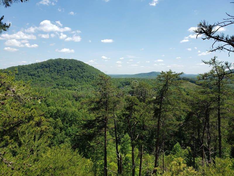 Wide Shot of a Forest on a Hill and Trees Stock Photo - Image of scenic ...