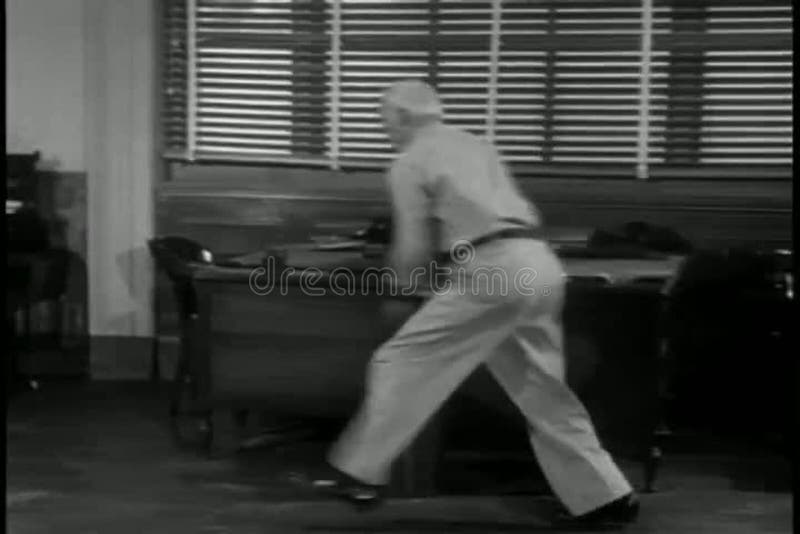 Wide shot man chasing cat stock video. Video of indoors - 52818257