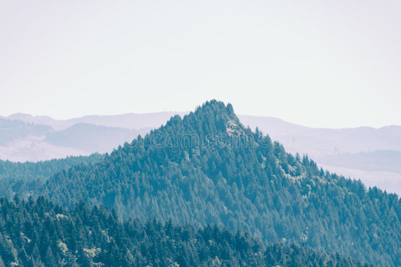 Wide Shot of a Mountain Covered with Trees Stock Photo - Image of ...