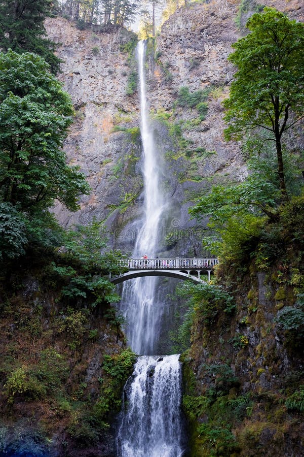Wide Shot of Oregon`s Iconic Multnomah Falls Stock Photo - Image of ...
