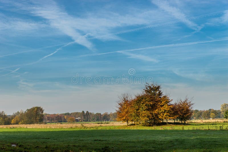 Wide Shot of a Park with Trees and a Blue Sky with Streaks of Clouds ...