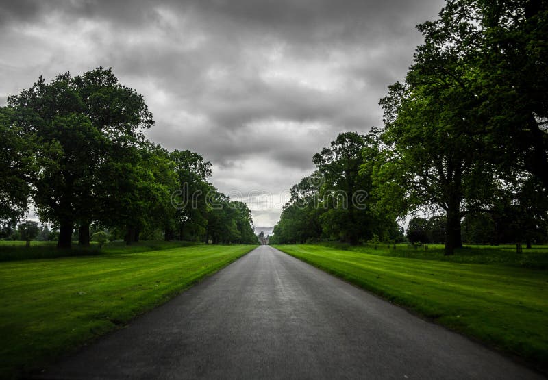 Wide Shot of a Road Surrounded by Trees and Grass Under a Gray Sky ...