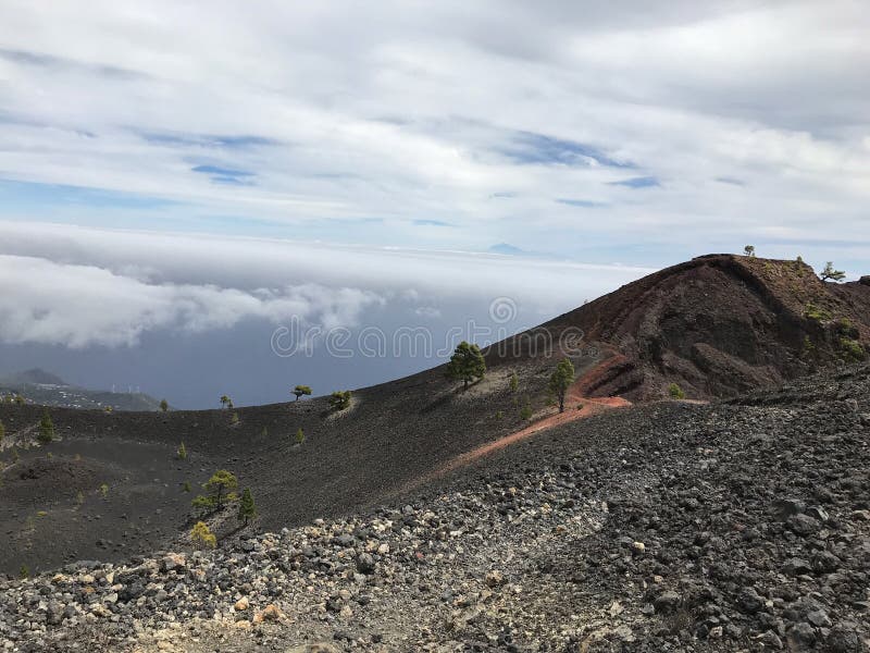 Wide Shot of a Sandy Hill with Trees Under a Clear Sky with Clouds ...