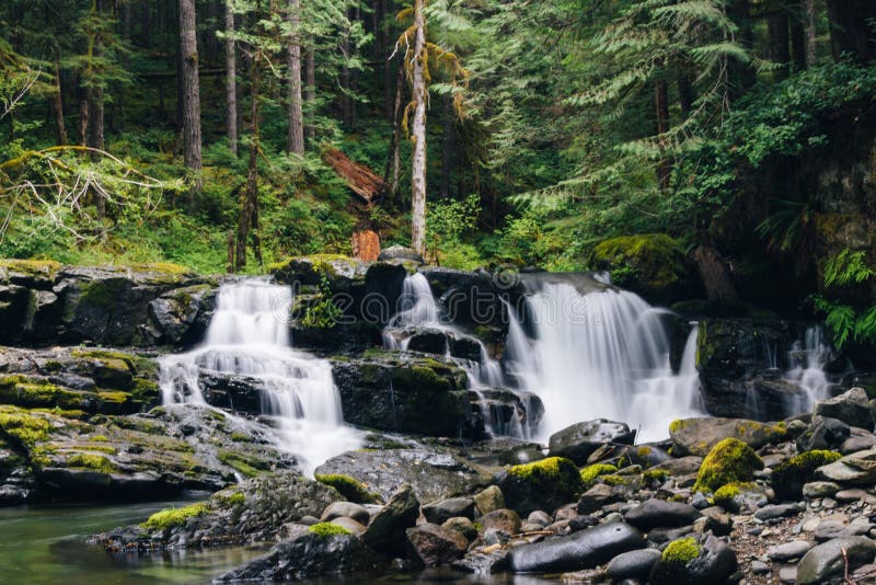 Wide Shot of Small Cascade Falls Flowing Down a Trail Surrounded by ...