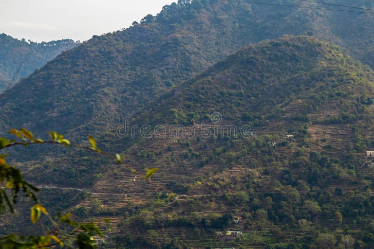 Wide Shot of Terrace Type Crop Fields on Mountain Under the Sunlight ...
