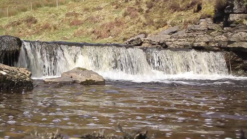 Small Waterfall, Vertical Video. Cascades of Waterfall, Greenery and ...