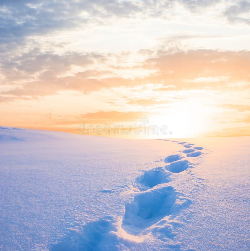 Wide Snowbound Plain with Human Trace at the Sunset Stock Image - Image ...