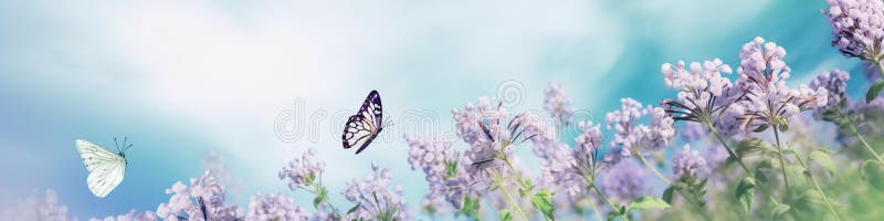 Wide Spring Banner with Flowers and Butterflies. Generative AI. Stock ...