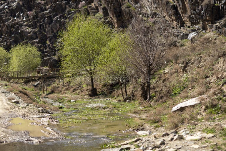 162 Spring Data Stream Logo Stock Photos - Free & Royalty-Free Stock ...