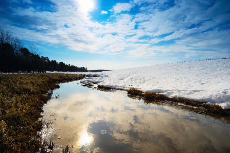 Wide Stream in the Spring . Siberia, Yugra. Stock Photo - Image of ...