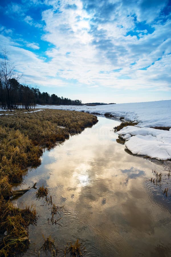 Wide Stream in the Spring . Siberia, Yugra. Stock Photo - Image of ...