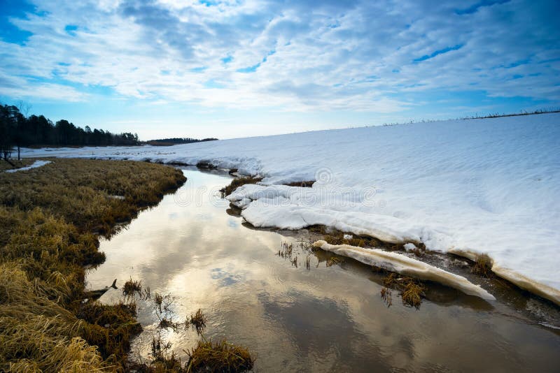 Wide Stream in the Spring . Siberia, Yugra. Stock Photo - Image of ...