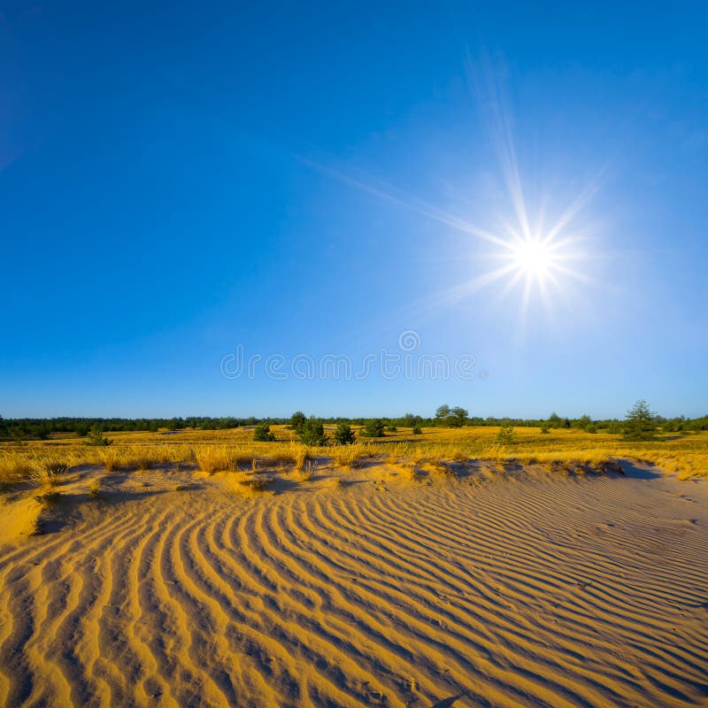 Summer Sandy Desert at Hot Summer Sunny Day Stock Photo - Image of ...
