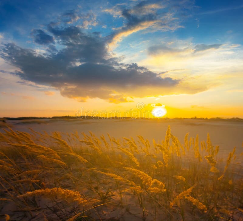 Summer Sandy Prairie at the Dramatic Sunset Stock Photo - Image of blue ...
