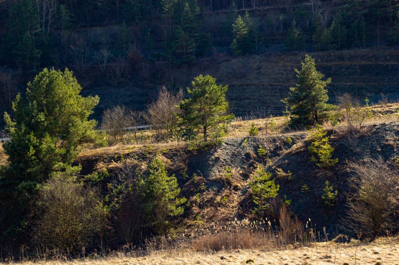 Wide Valley with Groups of Trees. View from Top of Mountain Stock Image ...
