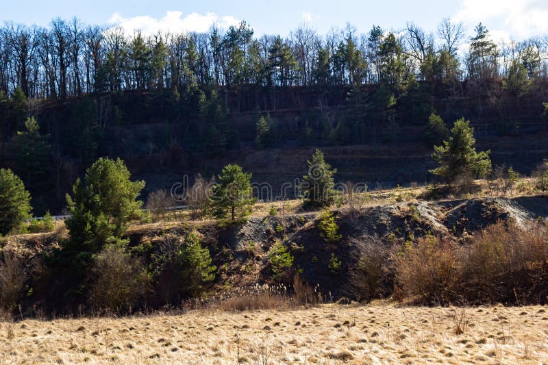 Wide Valley with Groups of Trees. View from Top of Mountain Stock Photo ...