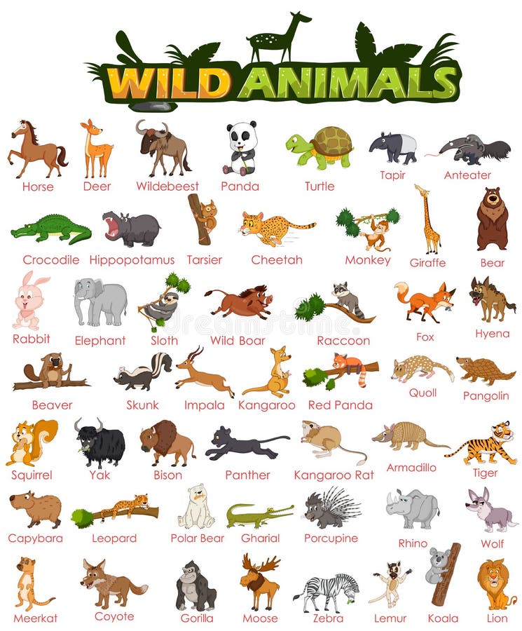 Wide Variety of Wild Animals Stock Vector - Illustration of mammal ...