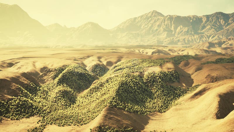 Wide View of California Desert Stock Illustration - Illustration of ...