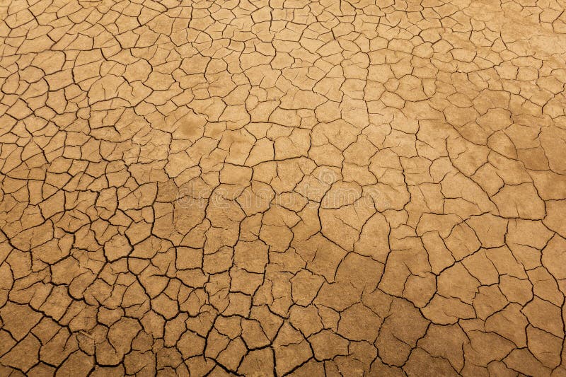 Cracked Dry Earth Due To Drought in a Desert Area Stock Photo - Image ...