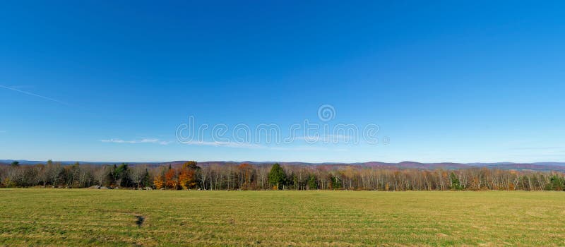 Wide View Field Trees and Sky Stock Photo - Image of white, field: 28898064