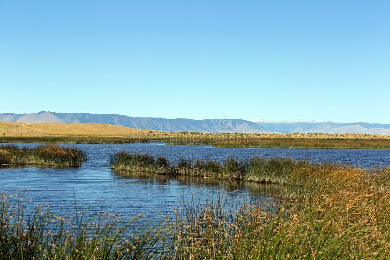 Wide View of a Prairie Marsh Stock Photo - Image of mountain, wide ...