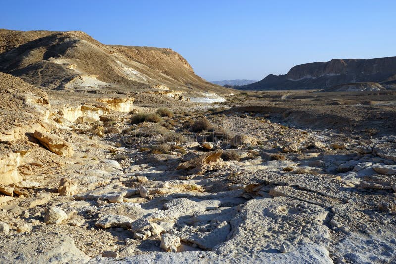 Wadi stock photo. Image of mount, arid, wadi, valley - 48086816