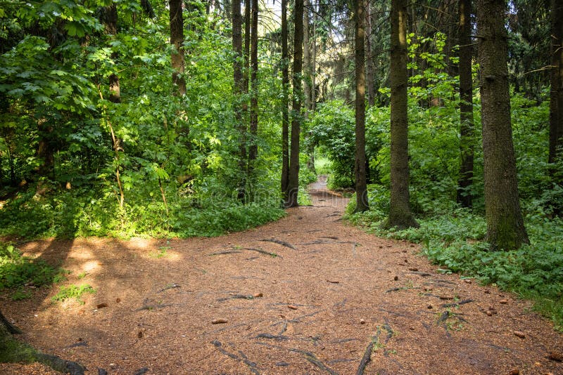 A Wide Walking Trail through a Prairie Filled with Wildflowers Grasses ...