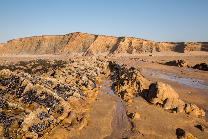 Sandymouth Beach , Stibb, Cornwall Uk Stock Image - Image of landscape ...