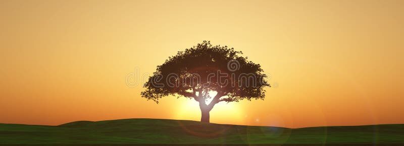 Widescreen Sunset Tree Landscape Stock Illustration - Illustration of ...