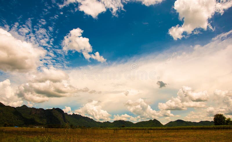 Widespread blue sky. stock image. Image of biology, pebble - 37877465