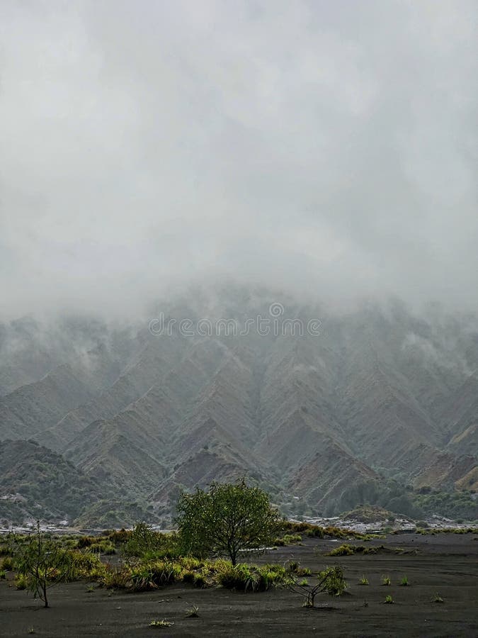 Widodaren Valley, Near Mount Bromo Java Island Indonesia Stock Photo ...