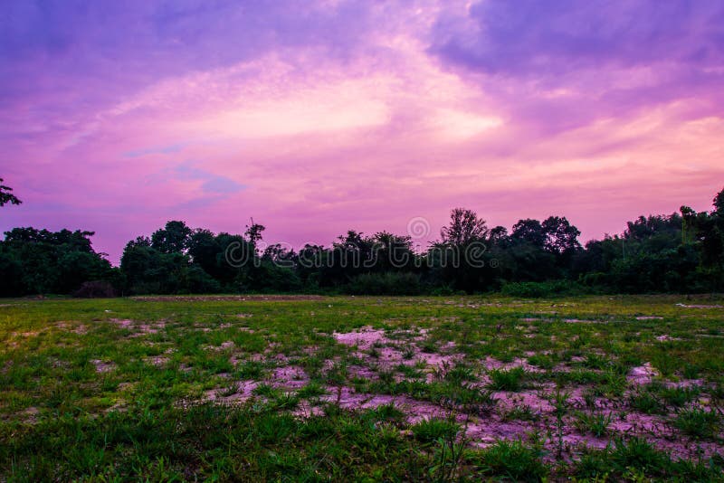 Width Lawn with the Sky after the Sunset. Stock Photo - Image of ground ...