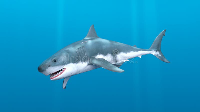 Wiedergabe 3D Der Haifischflosse Überwasser Stock Abbildung ...