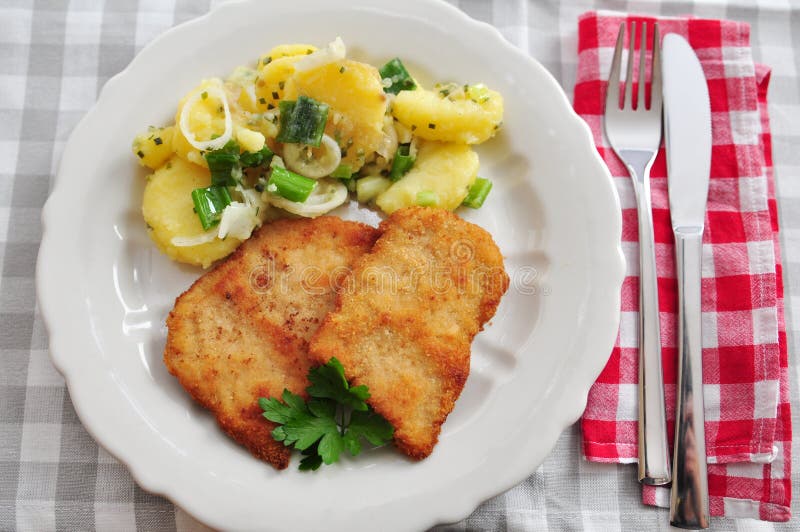 Wiener Schnitzel stock image. Image of appetizer, cooked - 9340685