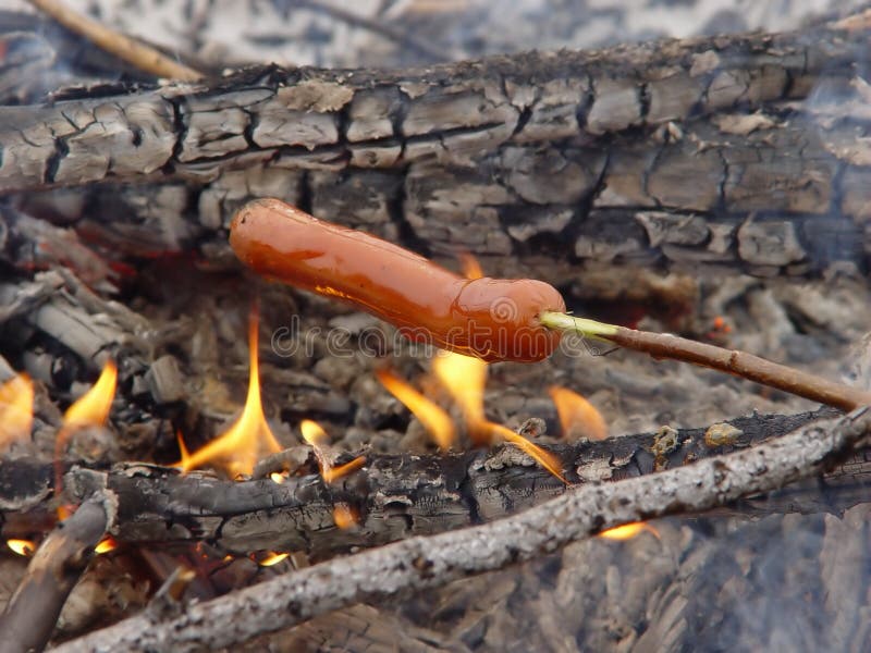 Wienner Roast stock image. Image of outting, ashes, family - 3275