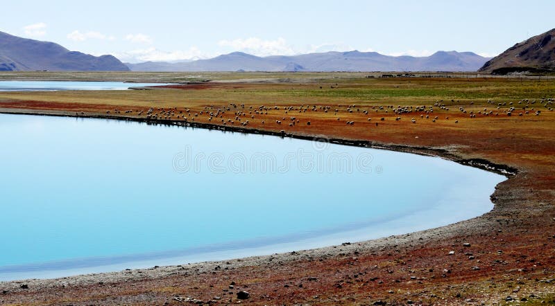 Wiese durch den See stockfoto. Bild von horizontal, idyllisch - 35300968