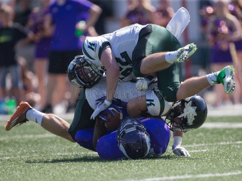 Wikinger Gegen Drachen Drachen Redaktionelles Stockfotografie - Bild ...