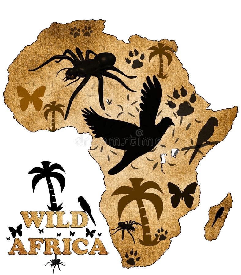 African Leopard Map Illustration Stock Vector - Illustration of ivory ...