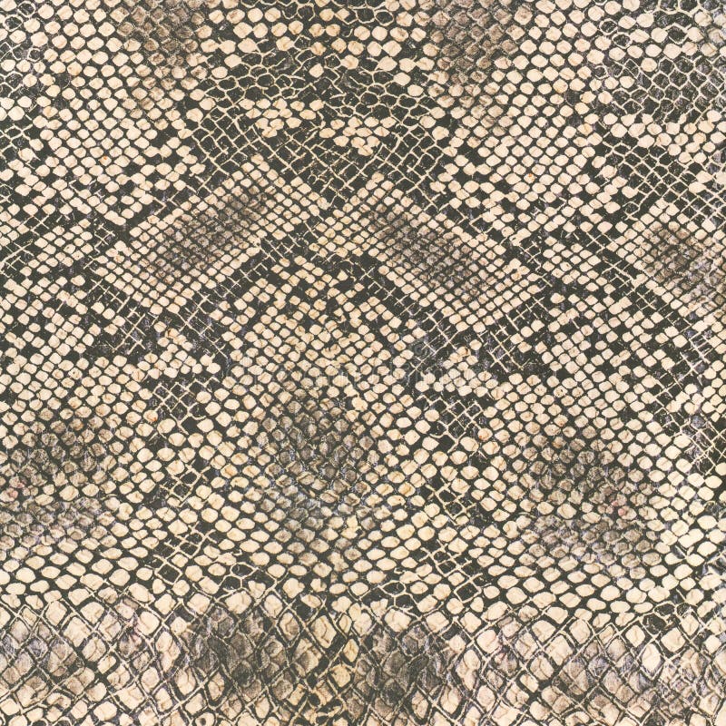 Africa Animal Pattern Texture Skin,fur & Feathers Stock Image - Image ...