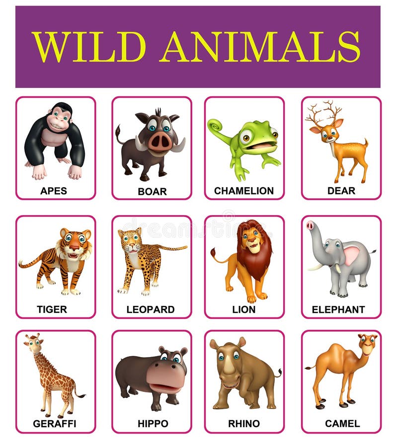 Wild animal chart stock illustration. Illustration of poster - 70016478