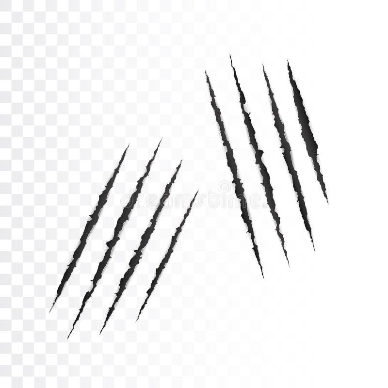 Animal Claw Scratches. Wild Animal Claws Scratch Texture Stock Vector ... Animal Claw Scratches. Wild Animal Claws Scratch Texture Stock Vector ...